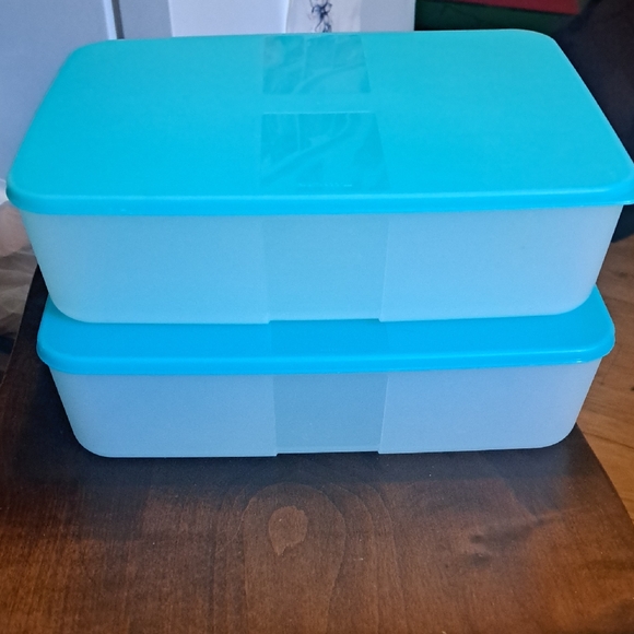 Tupperware | Kitchen | Tupperware Freezer Mates Teal Storage Solution 2 ...